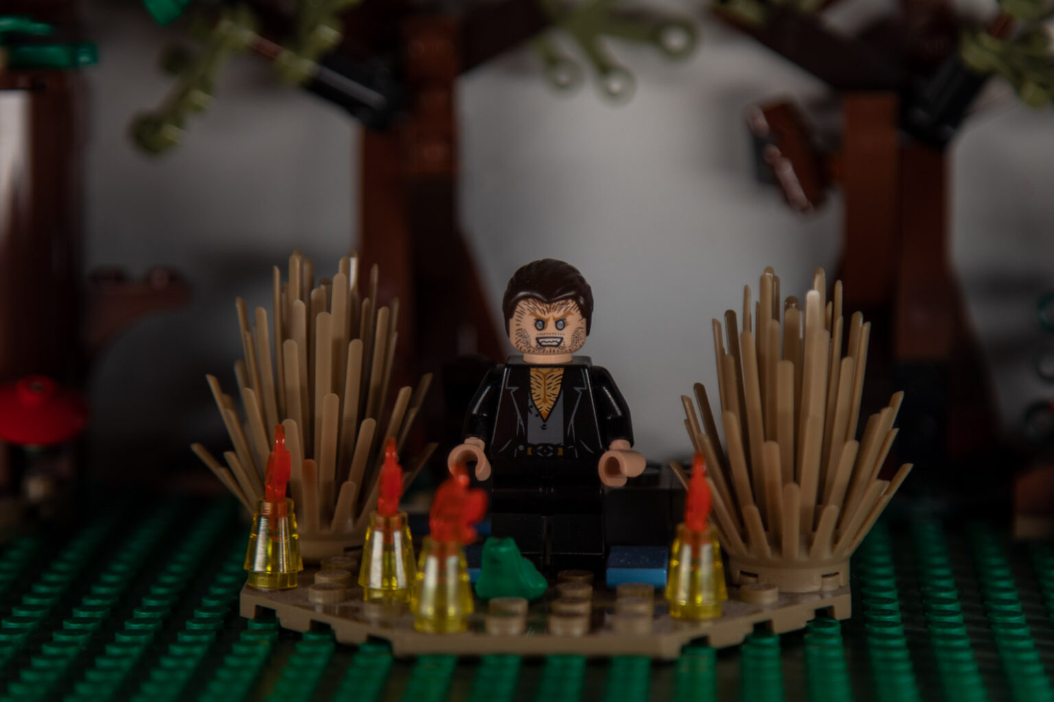 The Werewolf in the Wizarding World - Simon Reisinger